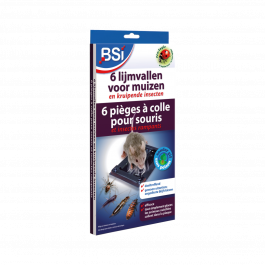 BSI Lijmval voor muizen - 6 stuks - 25084 | Hevu Tools